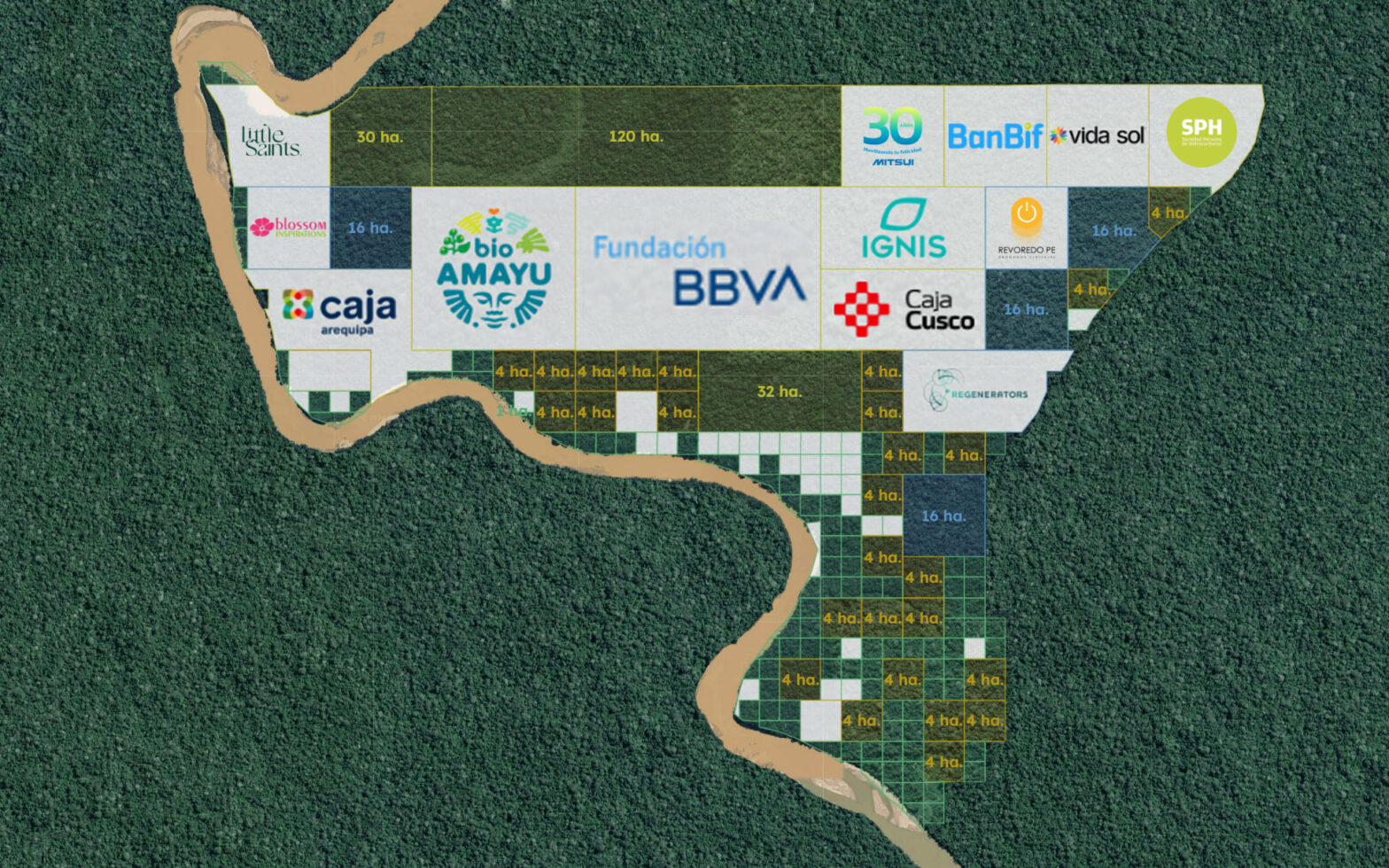 El sector privado en la conservación del bosque amazónico - Arbio